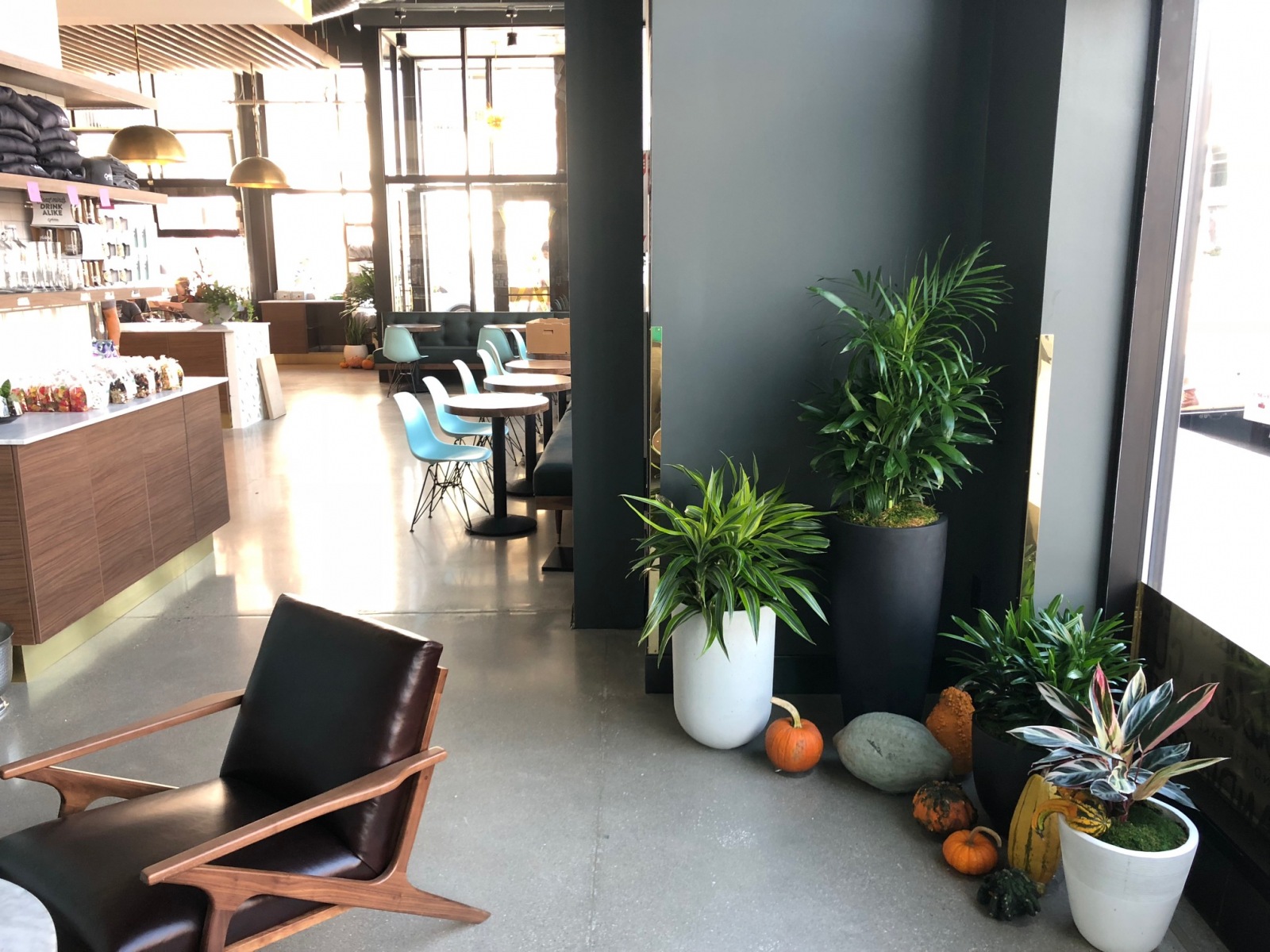 Gallery – Interiorscapes