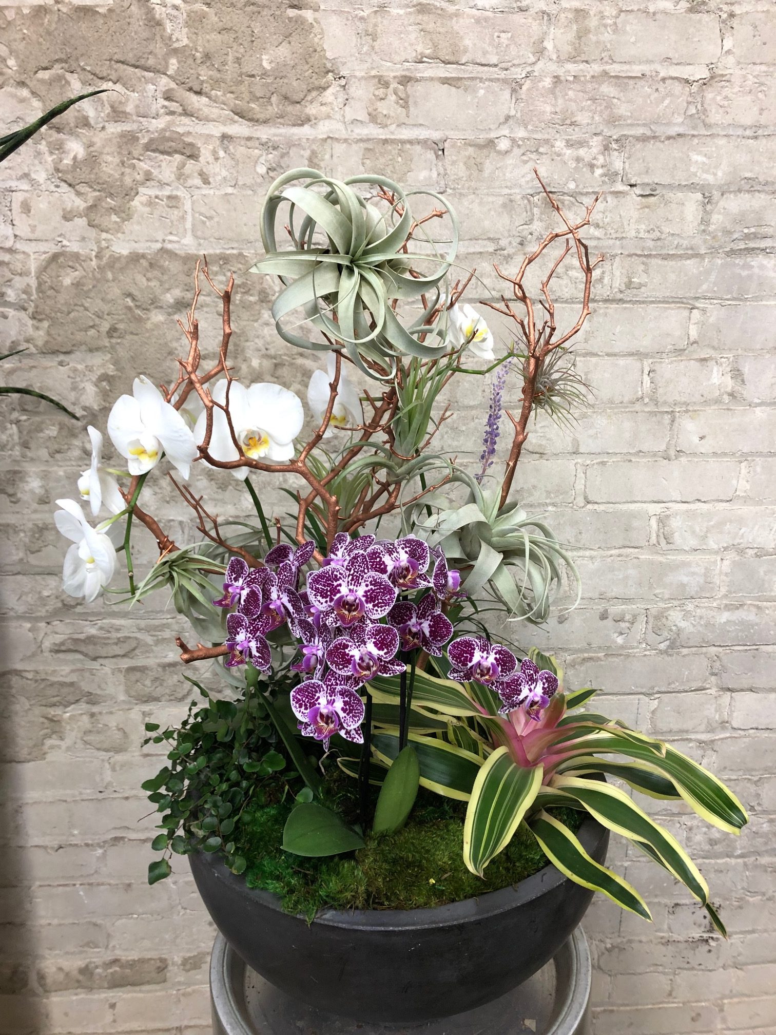 Living Art – Interior Plant Service – Interiorscapes, Milwaukee WI