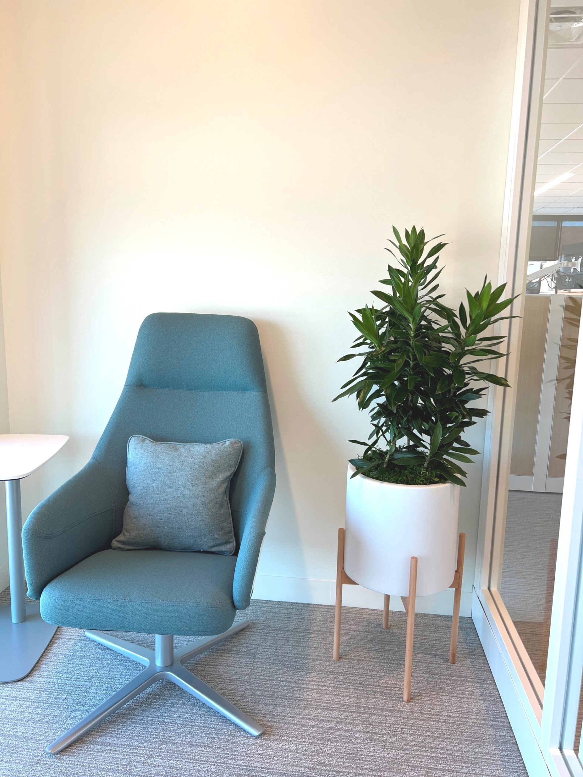 New Office Installation – Interior Plant Service – Interiorscapes ...